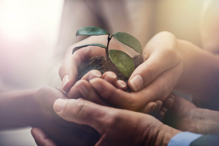 What is eco social work? | Insight – Charles Sturt University