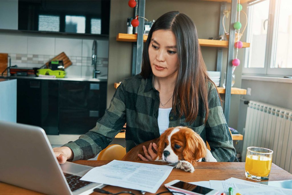 Postgraduate student? Here's what you need to return to study