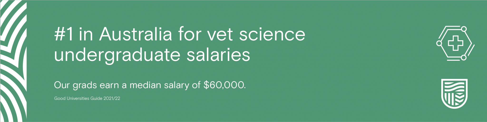 How to become a vet | Insight – Charles Sturt University