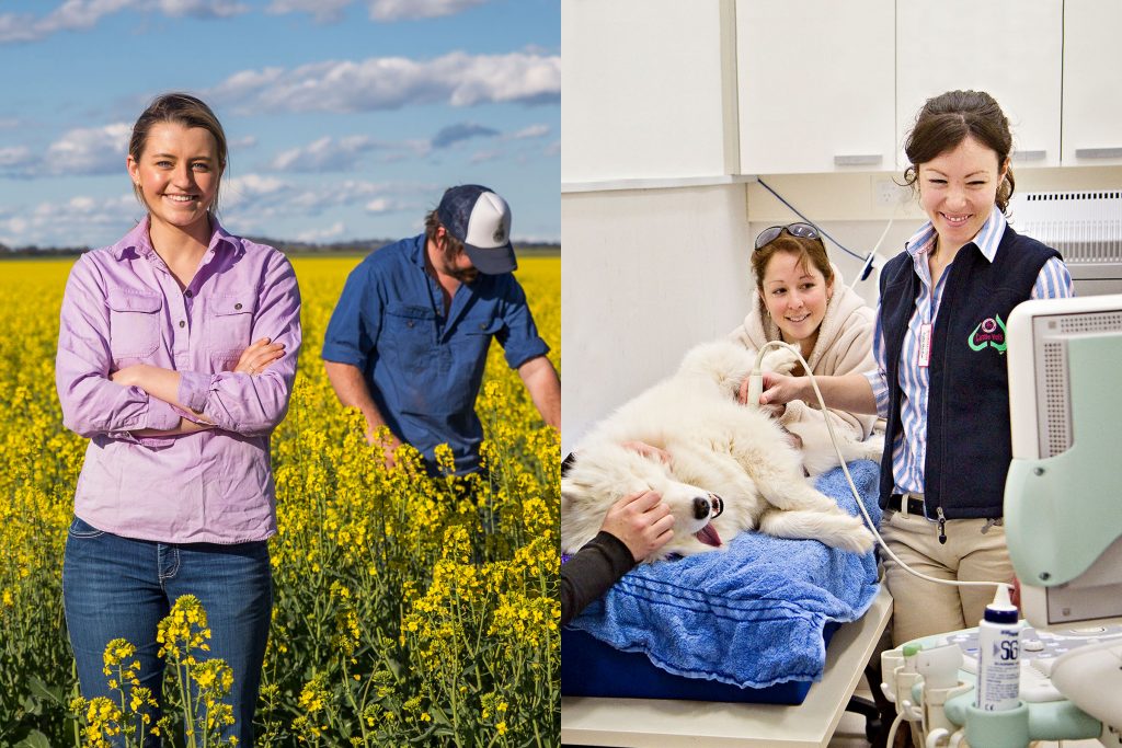 A Career In Agriculture Or Animal Science Which Is Right For You a-career-in-agriculture-or-animal-science-which-is-right-for-you