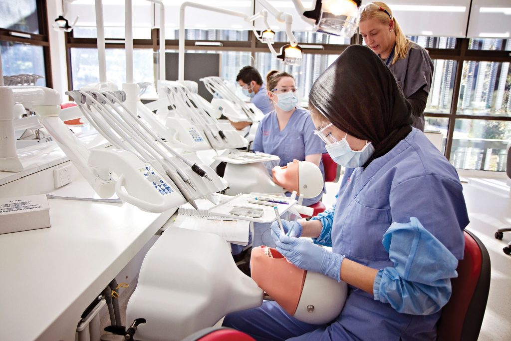 How to become a dentist | Insight – Charles Sturt University