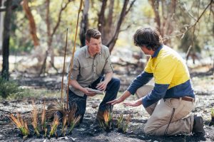 What are the benefits of controlled burning? | Charles Sturt University