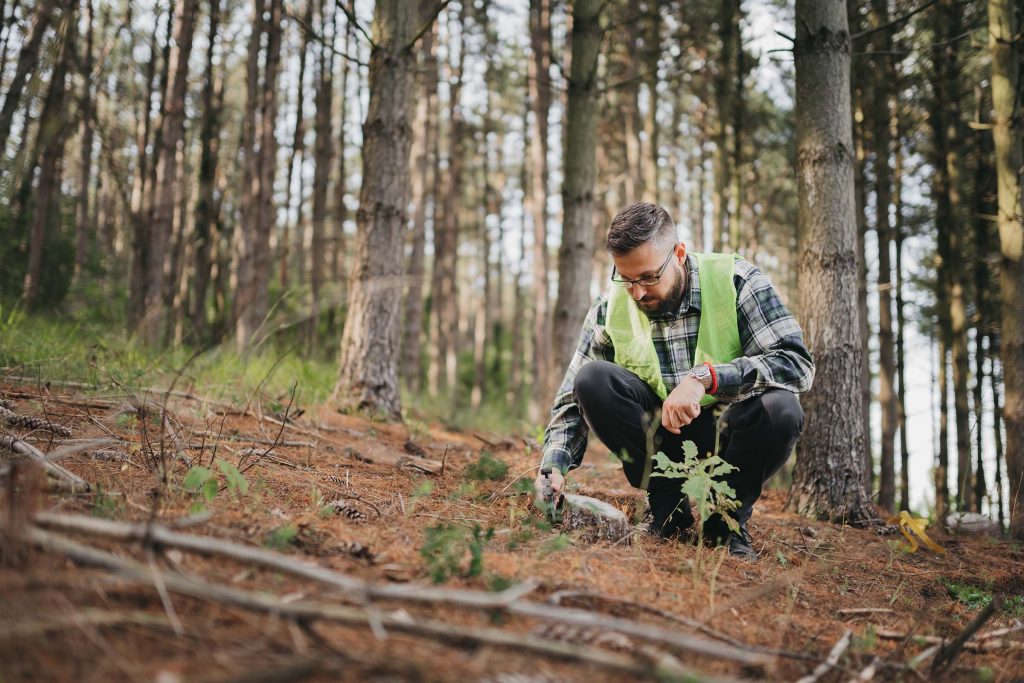 A career in sustainability: Six careers to make a difference