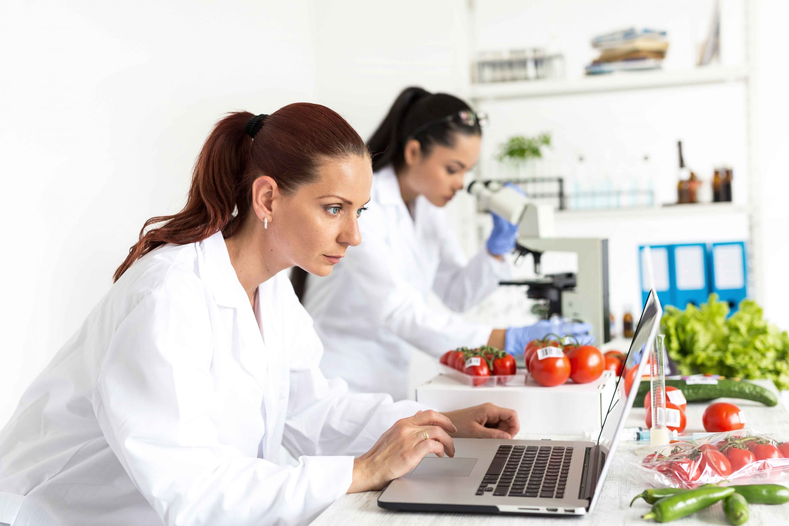 How to become a nutritionist | Insight – Charles Sturt University