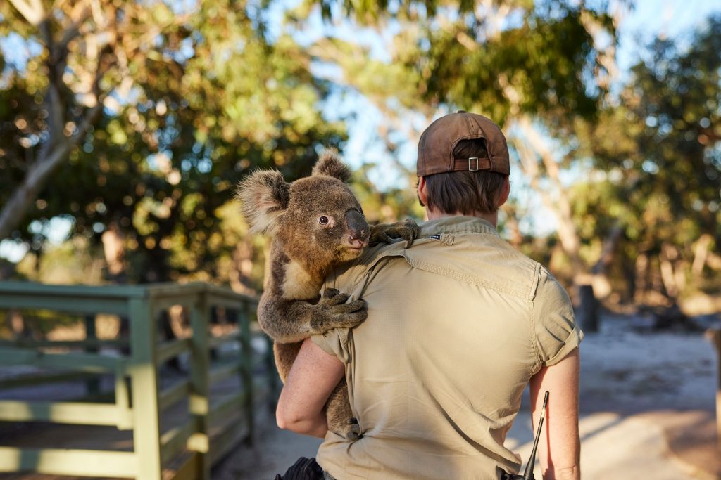 How to become a park ranger | Insight – Charles Sturt University