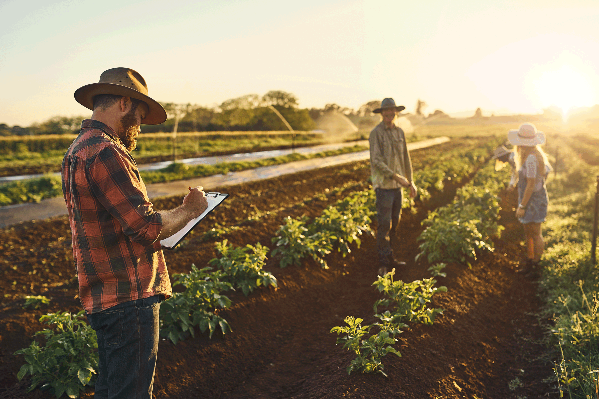 Paddock to plate: experiencing the best of regional Australian food ...