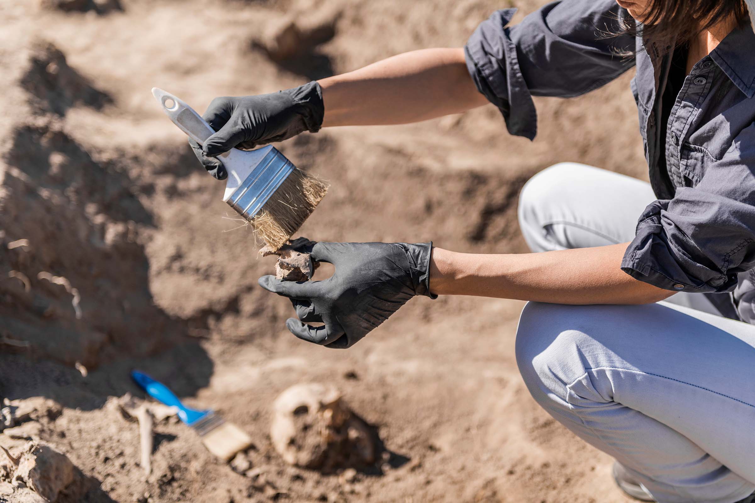 Careers in history: 7 ways to make the past your future | Insight ...