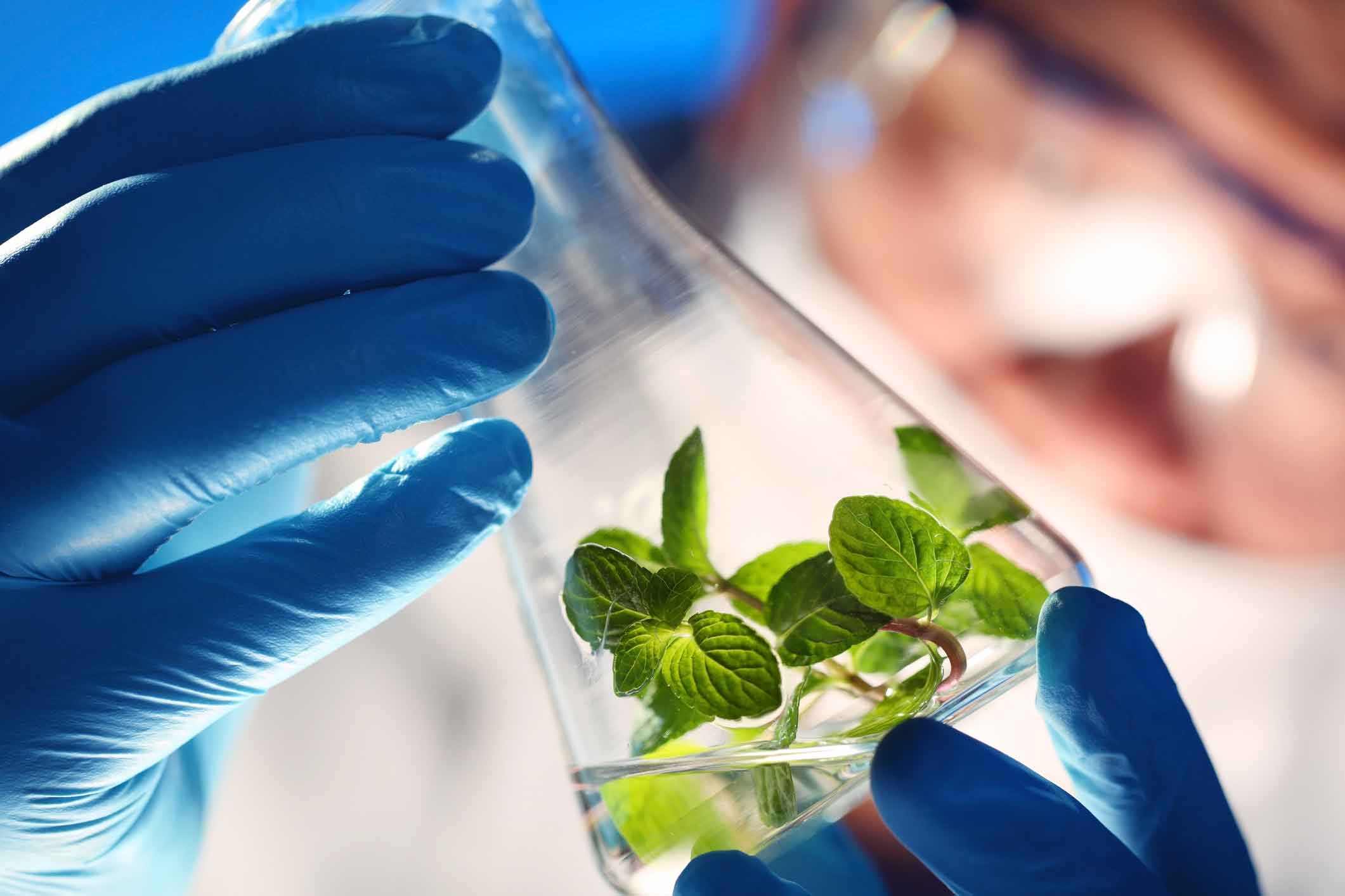 Careers in chemistry: 6 paths to consider | Insight – Charles Sturt ...