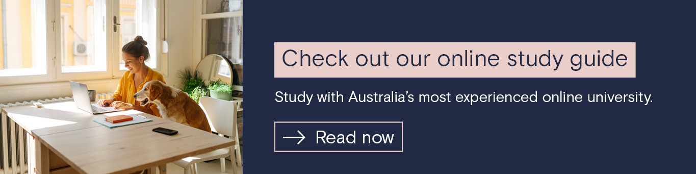 What is a graduate diploma and how can it help you succeed? | Insight ...