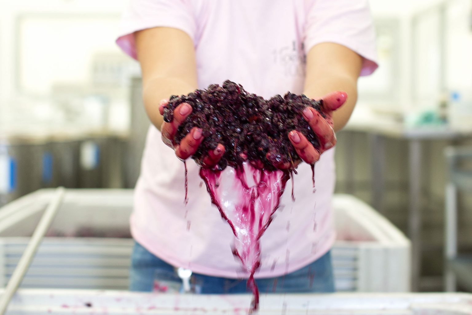 Paddock to plate: experiencing the best of regional Australian food ...