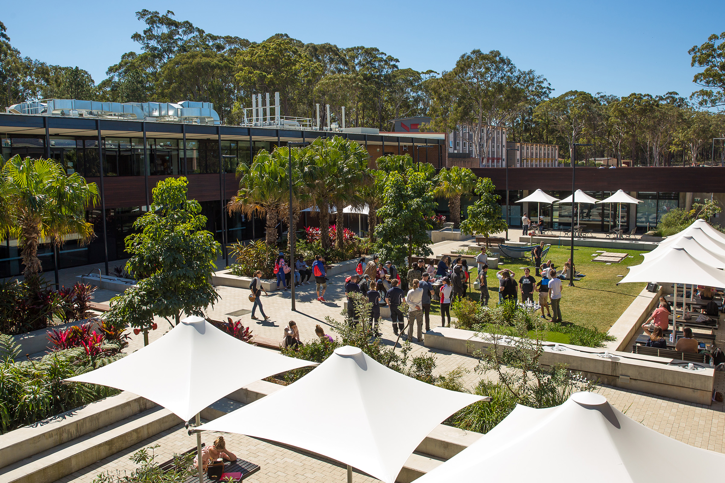 Regional university in NSW | Insight – Charles Sturt University