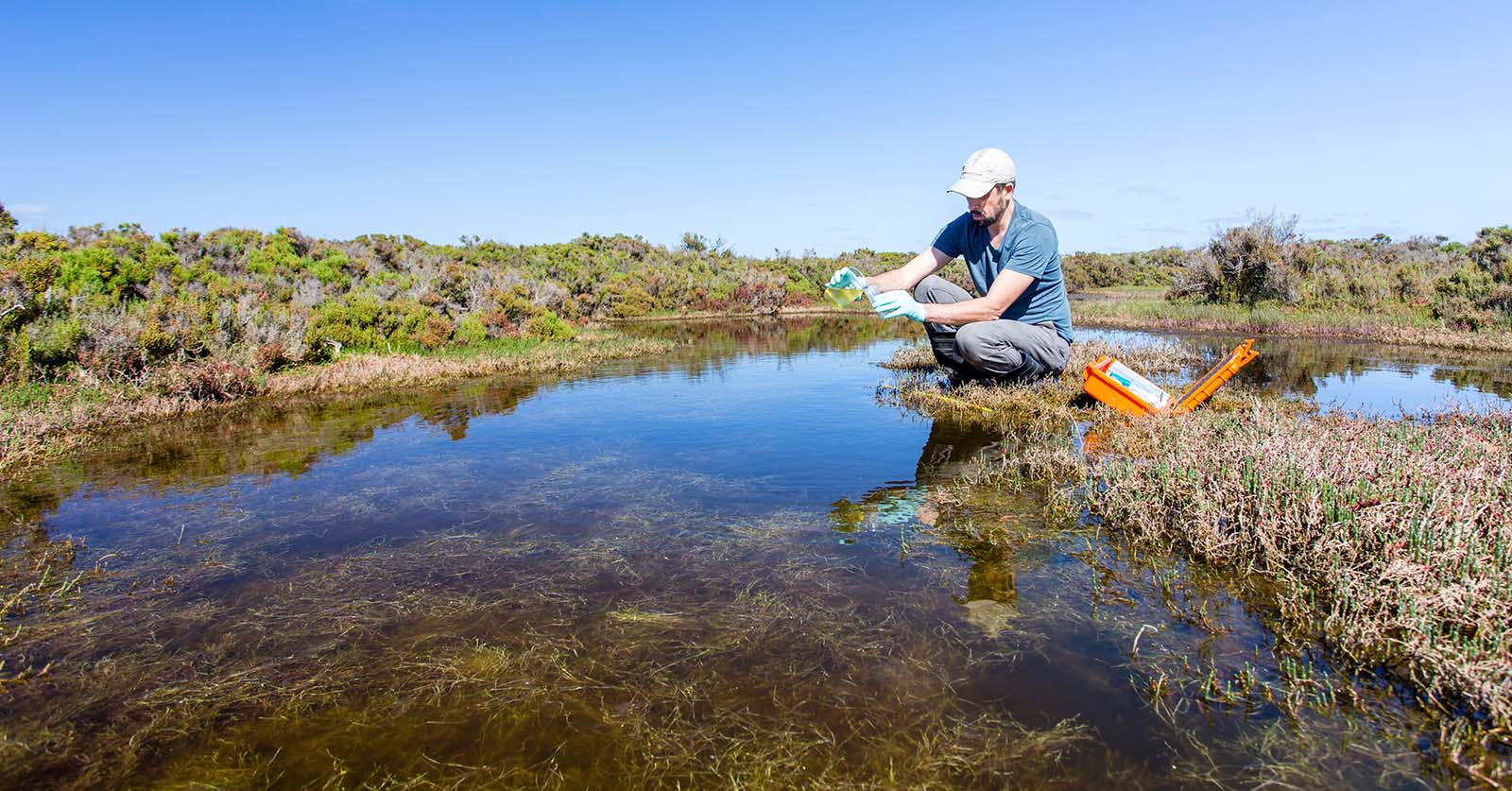 Working with wildlife: 11 career ideas to go wild for | Insight ...