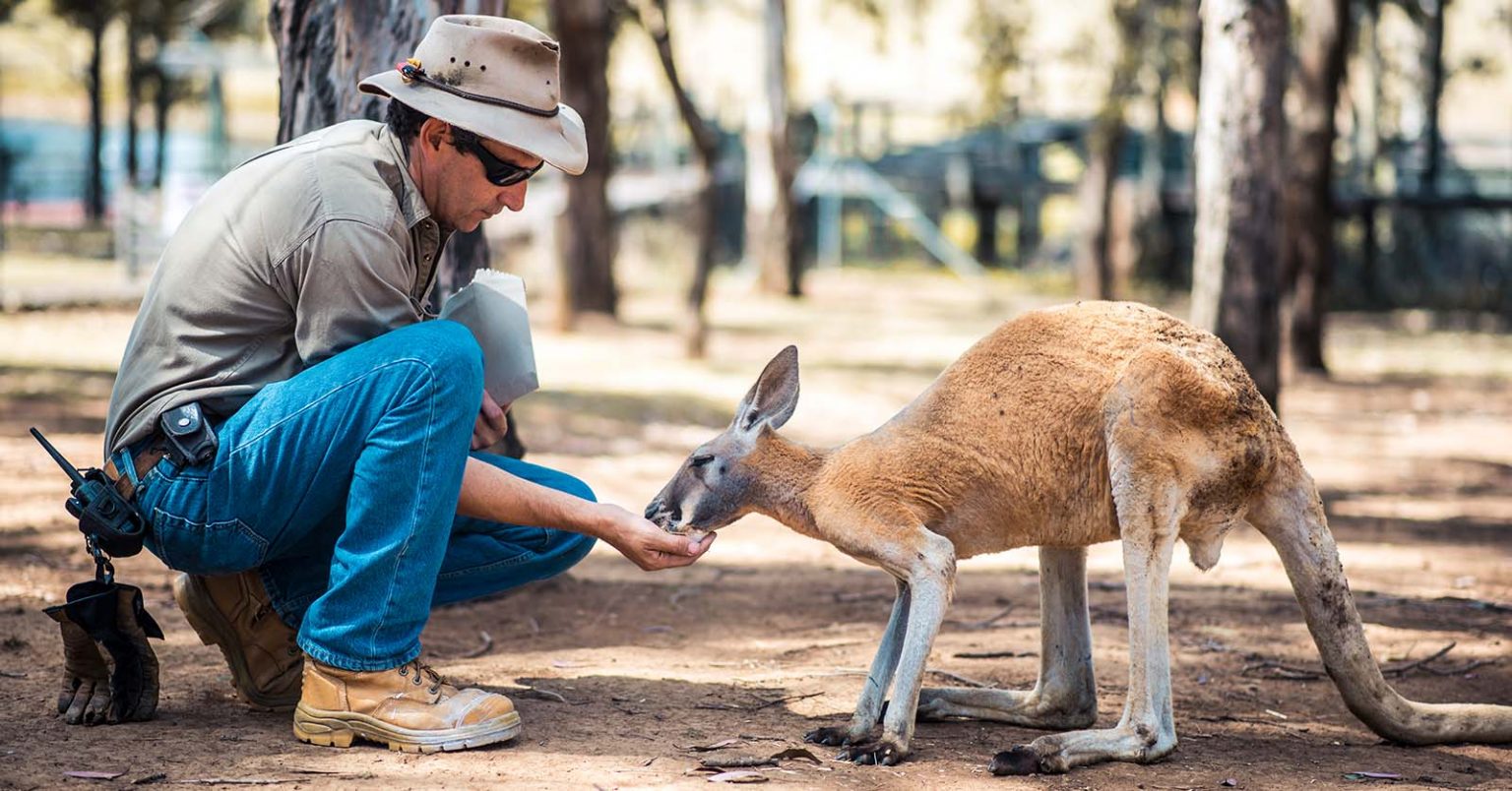 Working with wildlife: 11 career ideas to go wild for | Insight ...