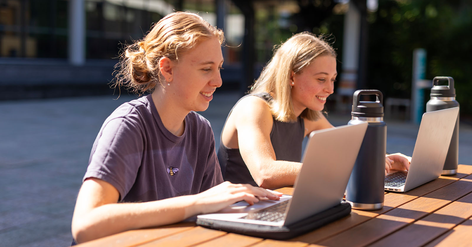 What is a graduate diploma and how can it help you succeed? | Insight ...