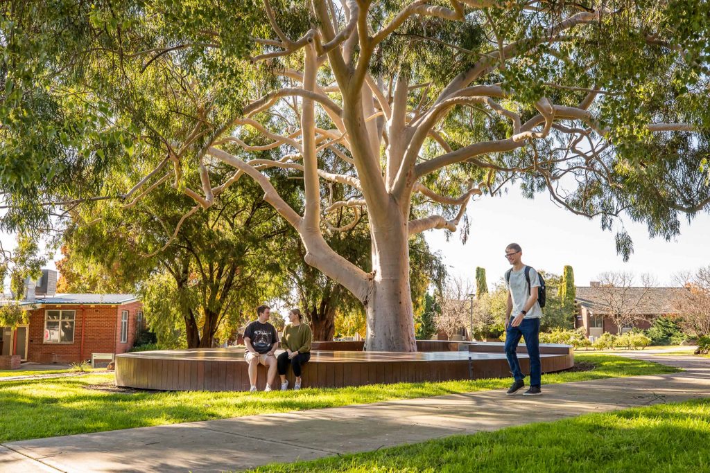 Benefits of studying in regional Australia: Josh's journey | Insight – Charles Sturt University