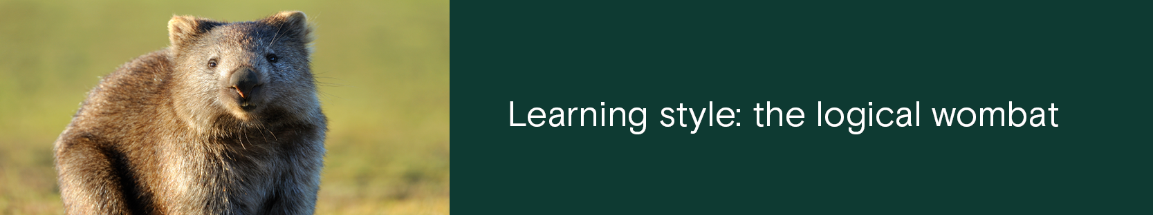 What's your learning style? | Insight – Charles Sturt University