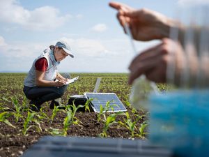 Science careers: 12 roles you didn't even know existed | Insight ...